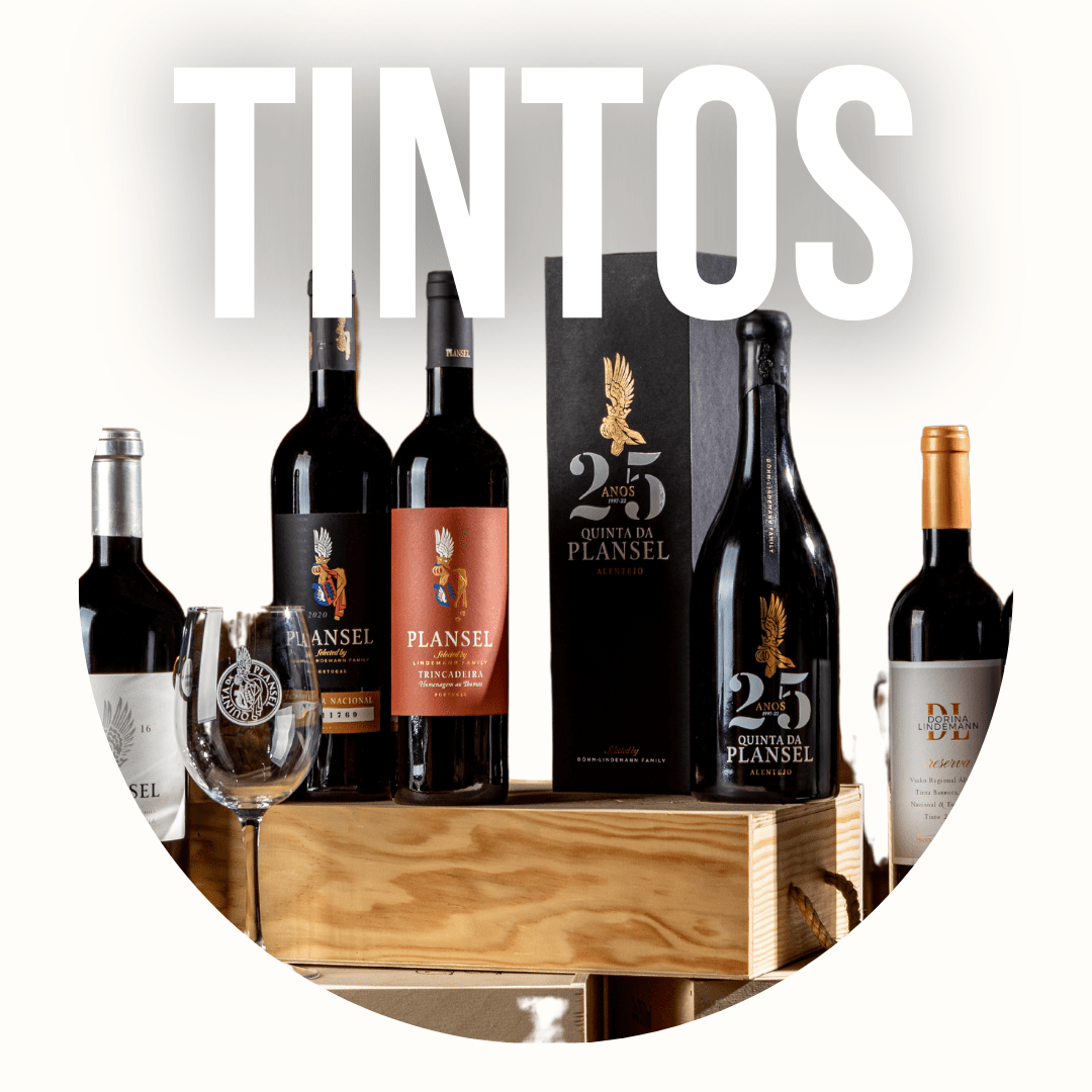 Vinhos Tintos Plansel | Potência e Elegância do Alentejo